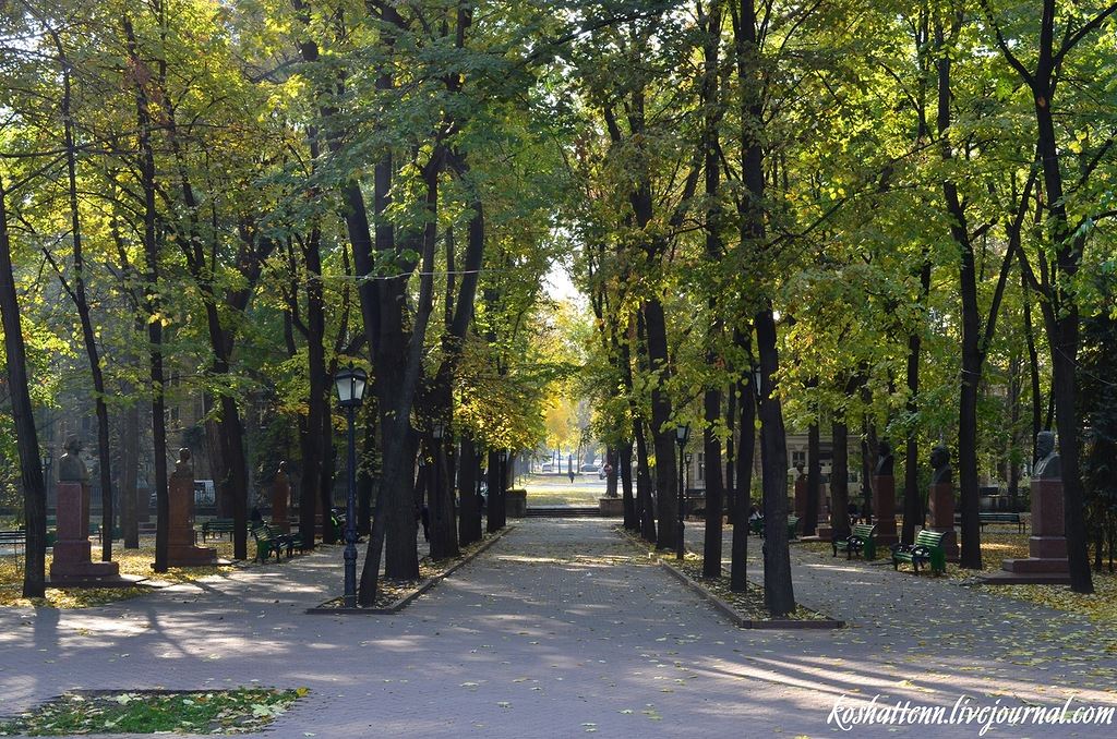 10 curiozități despre Aleea Clasicilor – Chișinău, orașul meu